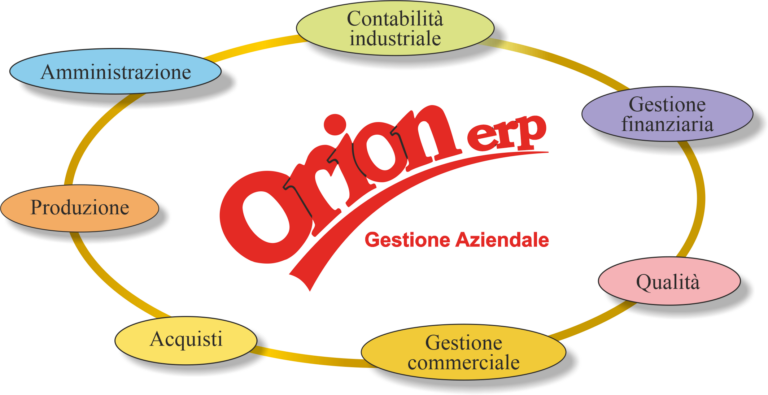 Orion ERP - Informatica Data System